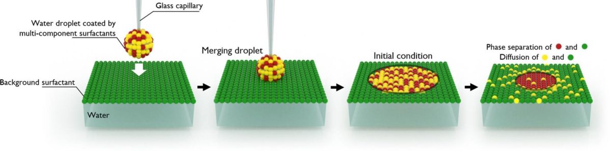 PAPERS – Multiphase Complex Fluids Laboratory (MCFL)