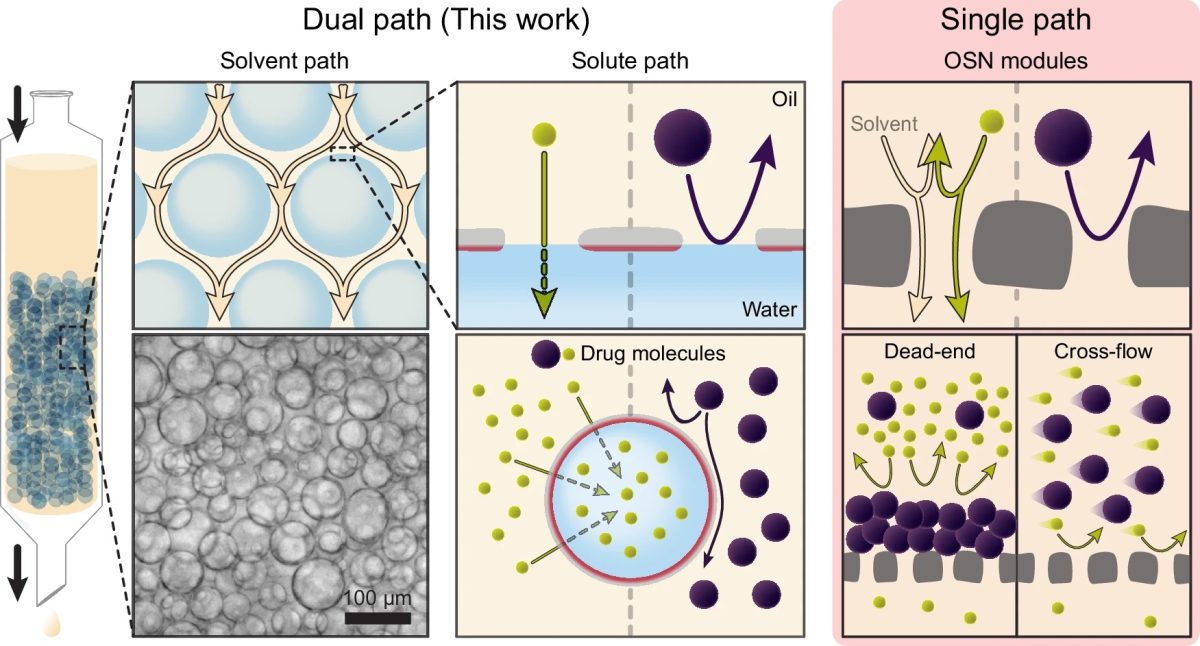 PAPERS – Multiphase Complex Fluids Laboratory (MCFL)