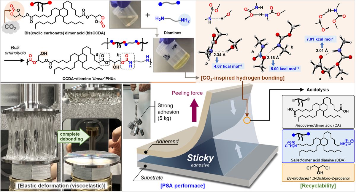 PAPERS – Multiphase Complex Fluids Laboratory (MCFL)